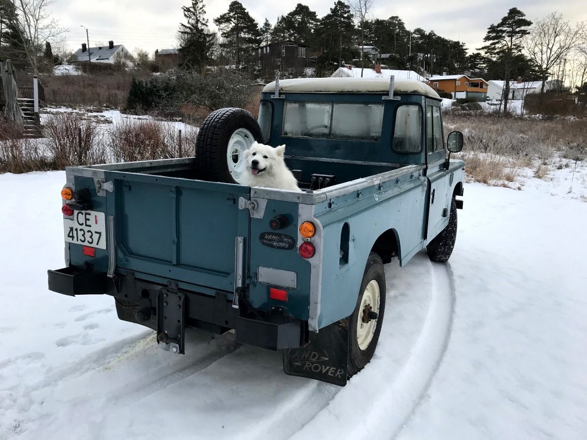 1975 - LAND ROVER 109 S3 - 10 - CLASSICON Motorwagen & Media GmbH